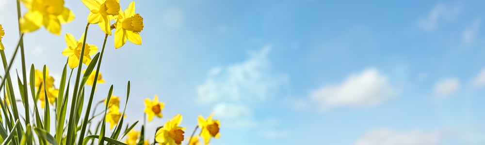 National Day of Reflection - Eden Private Staff